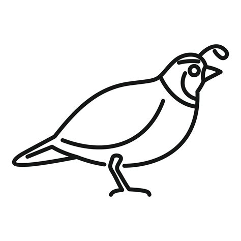 Quail Adorable Icon Outline Style 14597001 Vector Art At Vecteezy