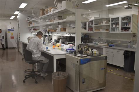 Mtu Holds Ribbon Cutting For H Stem Building News Sports Jobs The Mining Gazette