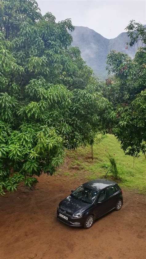 Ancy Alexander Ancyalexander Profile Pinterest