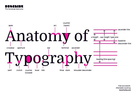 Anatomy Of Typography Poster Pdf