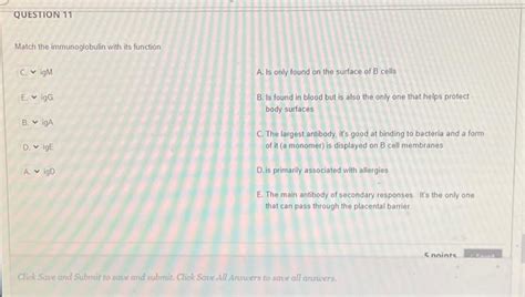 Solved Match The Immunoglobulin With Its Function Igm A Is