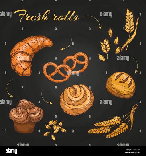 Rolls And Buns On Blackboard Chalkboard Bakery Cafe Menu Vector