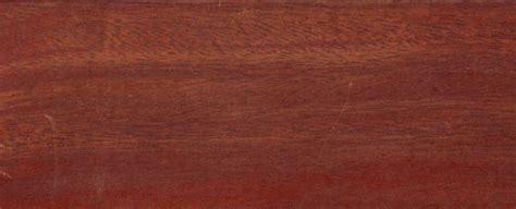 Mahogany African Halifax Speciality Hardwoods