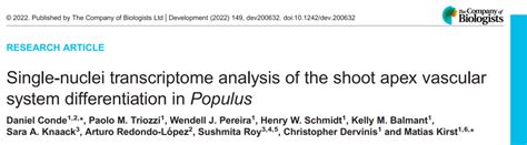 植物单细胞测序如何做marker基因识别及后续验证？ 知乎