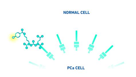 Pylarify® Combines Pet Psma And 18f Pylarify®