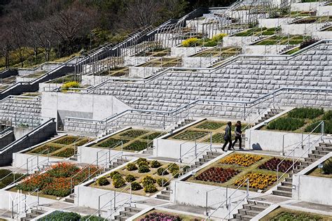 Tadao Ando Garden Fasci Garden