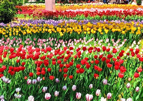 うた Rintaro House