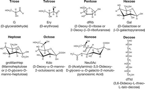 A Periodic Table Of Monosaccharides Pmc