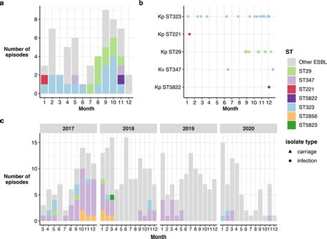 Presence Of Plasmid A Over Time A Bar Height Indicates Total Number Of Download Scientific