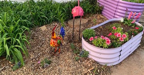 Cedars Substack Cedar Sanderson Substack Cedars Substack Cedar Sanderson Substack