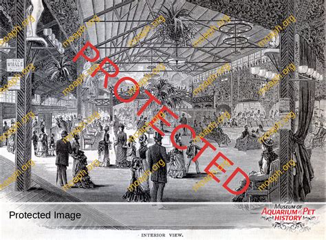 William Alford Lloyd And His Connections To American Aquariums The