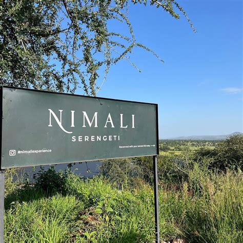 Nimali Serengeti Updated 2025 Campground Reviews Serengeti National