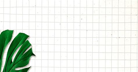Plantilla De Papel Cuadriculado Grande Japchet 800 Hojas De Papel