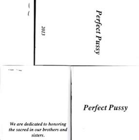Listen Perfect Pussys Blistering Punk Song I Consequence