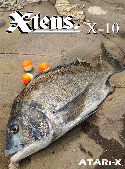 Xtens X 10 東江釣具有限公司 官方