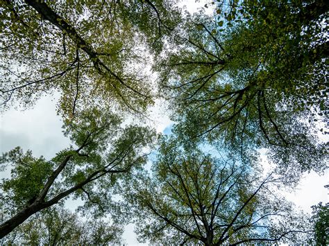 Econmic Growth Photos Download The Best Free Econmic Growth Stock