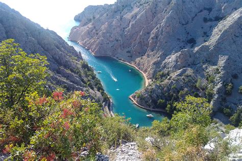 Izlet Rab Uvala Zavratnica Dolphin Excursions Novalja