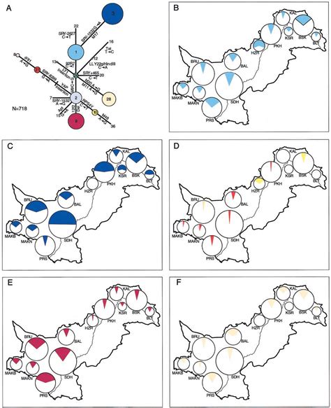 Figure 1 From Y Chromosomal Dna Variation In Pakistan Semantic Scholar