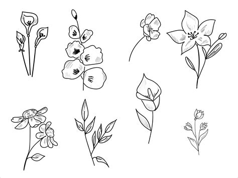 Dibujos A Lapiz De Flores A Mano Vector Premium