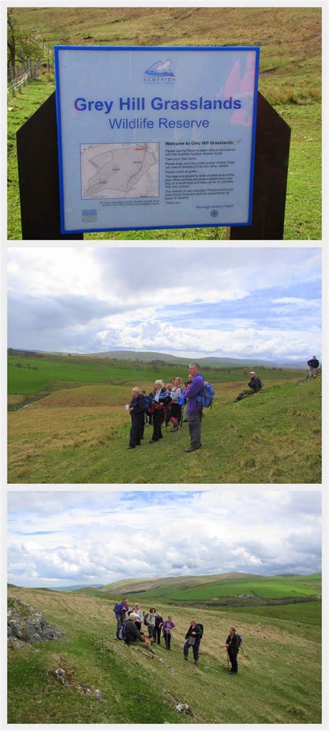 The Glebe Blog Wigtownshire Ramblers Girvan May 1st 2010