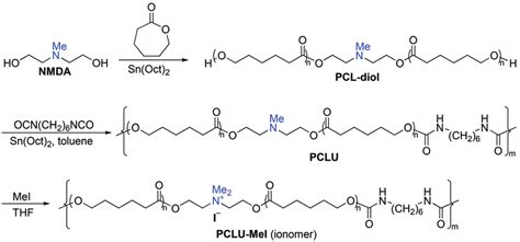 Scheme 1 Preparation Of Pcl Based Ionomers Download Scientific Diagram