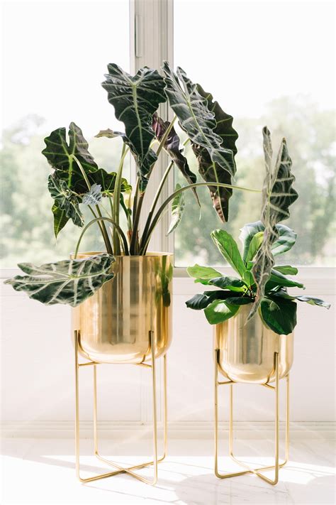 Indoor Planters Brass Garden Plant