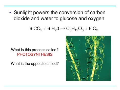2 The Chemical Context Of Life Ppt Download