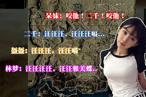 呆妹mmp战队，四个疯女人日常发疯。三个女人一台戏，四个女人