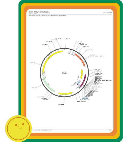 Model Usp Eel Brazil Igem 2023