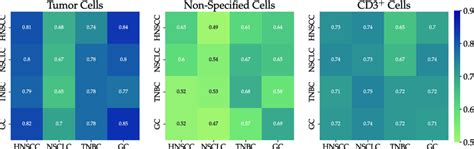 Average Performance Of Benchmark Models When Being Tested On All Tumor