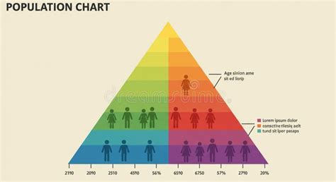 Population Pyramid Chart Stock Illustrations 238 Population Pyramid Chart Stock Illustrations
