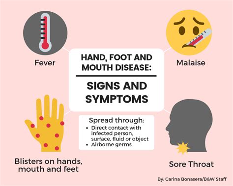 Mayo Clinic Q And A Hand Foot And Mouth Disease Iujleo