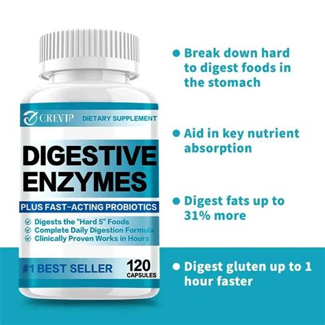 Digestive Enzymes Promote Intestinal Digestion And Relieve Bloating