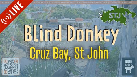 Blind Donkey Live Webcam In Downtown Cruz Bay St John Usvi Youtube