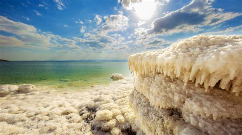 Ancient Dead Sea Microbes Consumed Each Others Corpses To Survive
