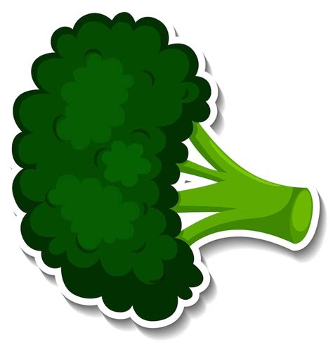 Images De Brocoli Vif Téléchargement Gratuit Sur Freepik
