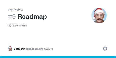 roadmap · issue 9 · pion webrtc · github