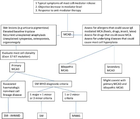 Diagnostic Algorithm For Mast Cell Activation Disorders Permission To