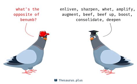 20 Benumb Antonyms Full List Of Opposite Words Of Benumb