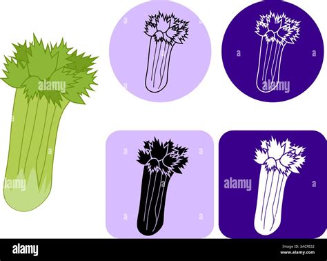Celery Icon Linear Logo Mark In Black And White Vector Flat Line