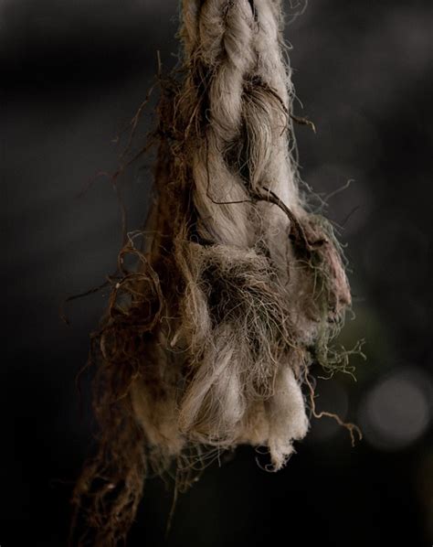 细绳 Cabulla 皮塔饼 Pixabay上的免费照片 Pixabay