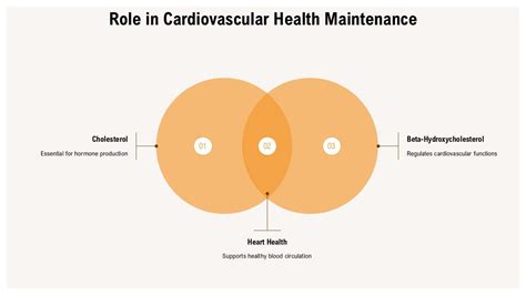 Understanding Beta Hydroxycholesterol Benefits And Uses Ppt Powerpoint