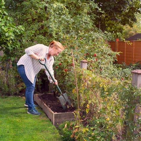 Green Caterpillar Identification Guide With Photos Dengarden