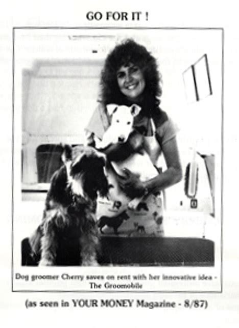 Cocker Spaniels In Your Life Don Cherrys Pet Rescue Foundation