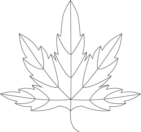 Platanus Occidentalis Sycamore Leaf Vector Icon Black And White