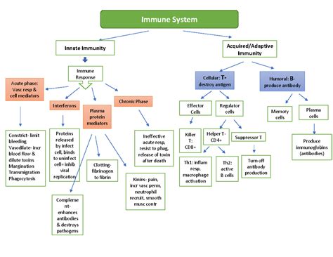 Immune System Map