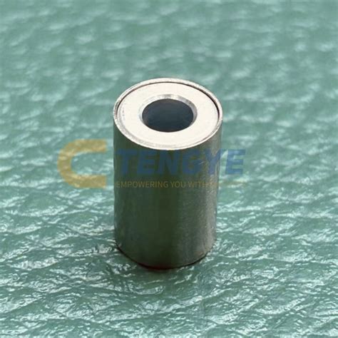 Permanent Magnet Rotor Assembly For Bldc Motor And Beyond