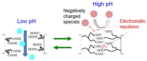 Membranes Free Full Text Preparation And Permeation Properties Of A Ph Responsive