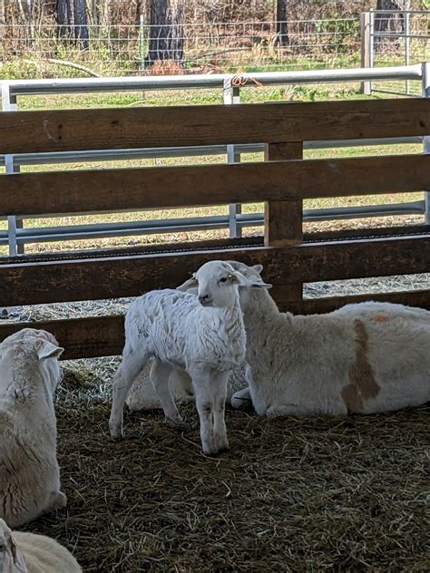 Had A Fun Friday Farmday Gathering Of The Extension Local Food Program