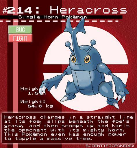 Heracross Evolution Chart